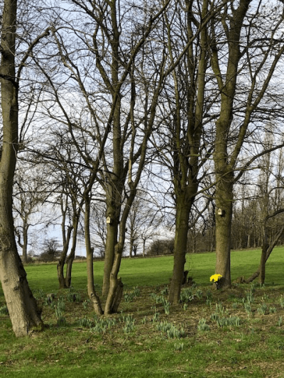 Memorials at Park Wood Crematorium | Calderdale Council